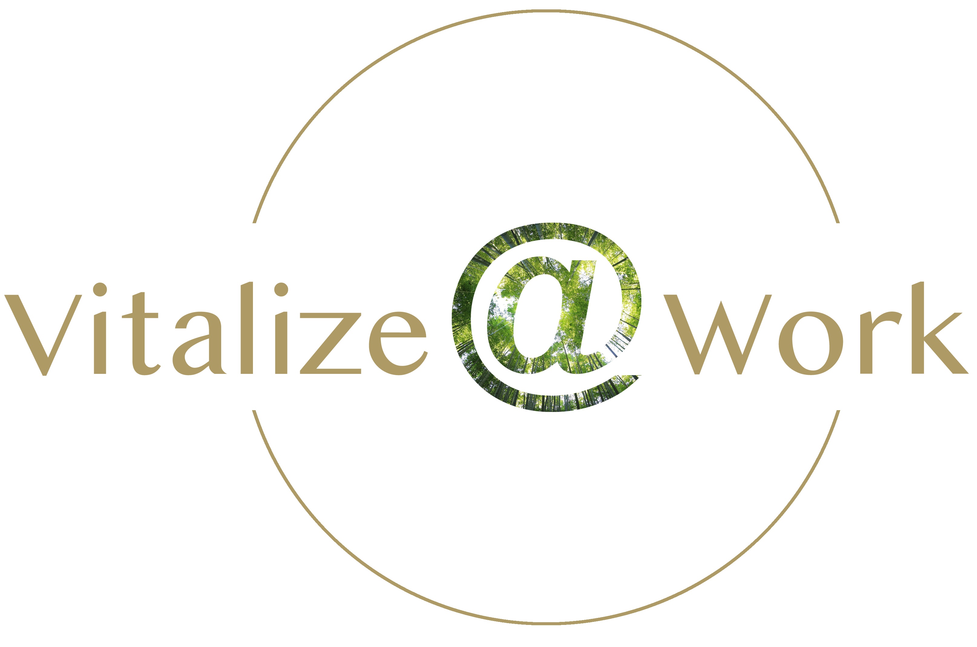 Vitalize@Work - VITALITEITSBELEID OP MAAT